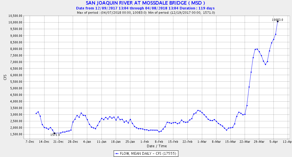 San Joaquin River Spring-Run Salmon at Risk | California Fisheries Blog