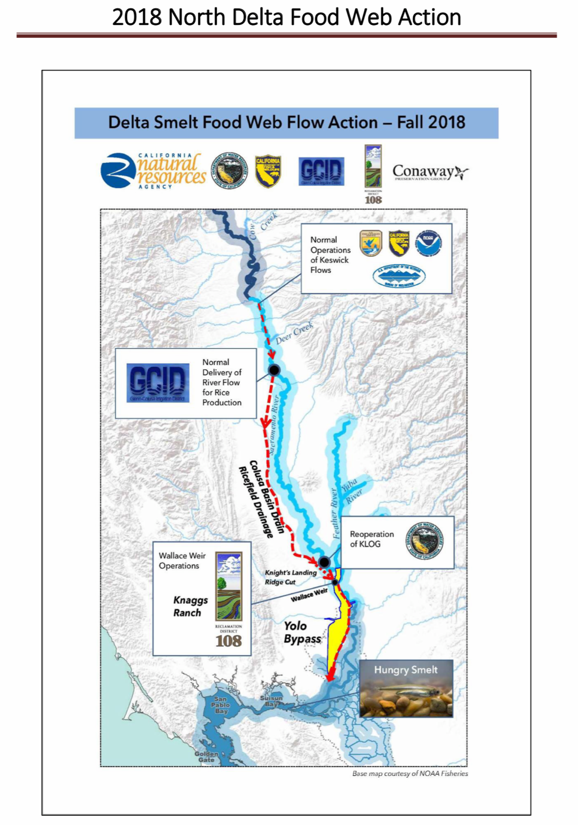 Delta Smelt Resiliency Strategy – Update Fall 2018 | California ...