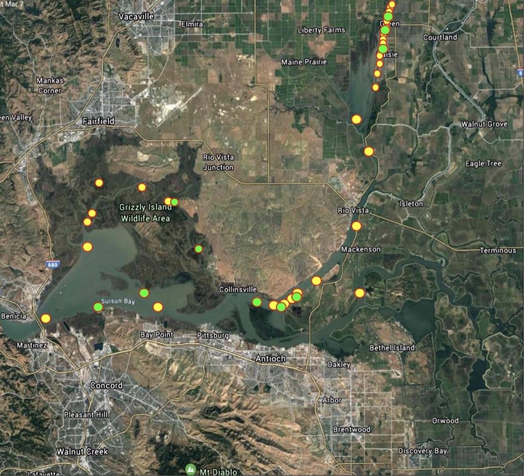 How many Delta Smelt Remain? | California Fisheries Blog