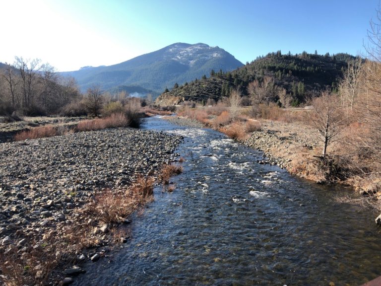 Klamath’s Scott River Salmon and Steelhead in Trouble | California ...