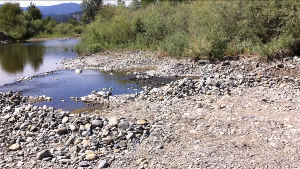 State Water Board to Decide Fate of Shasta and Scott River Salmon and ...
