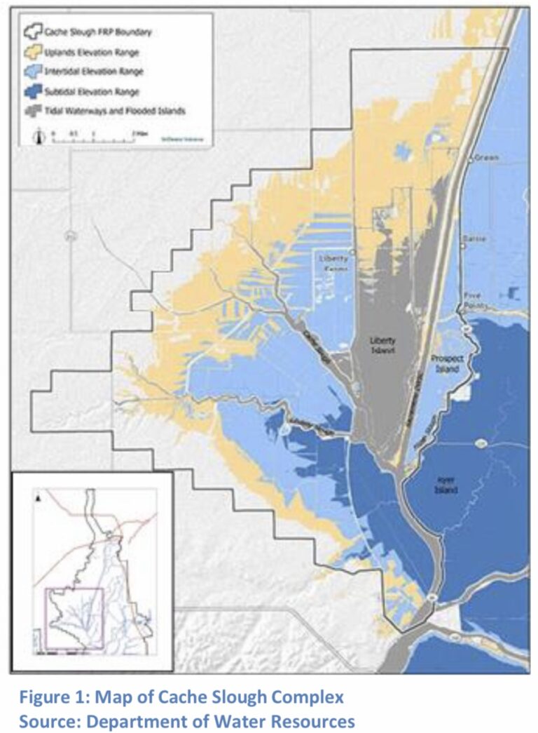 Cache Slough Tidal Wetland Restoration – Update | California Fisheries Blog