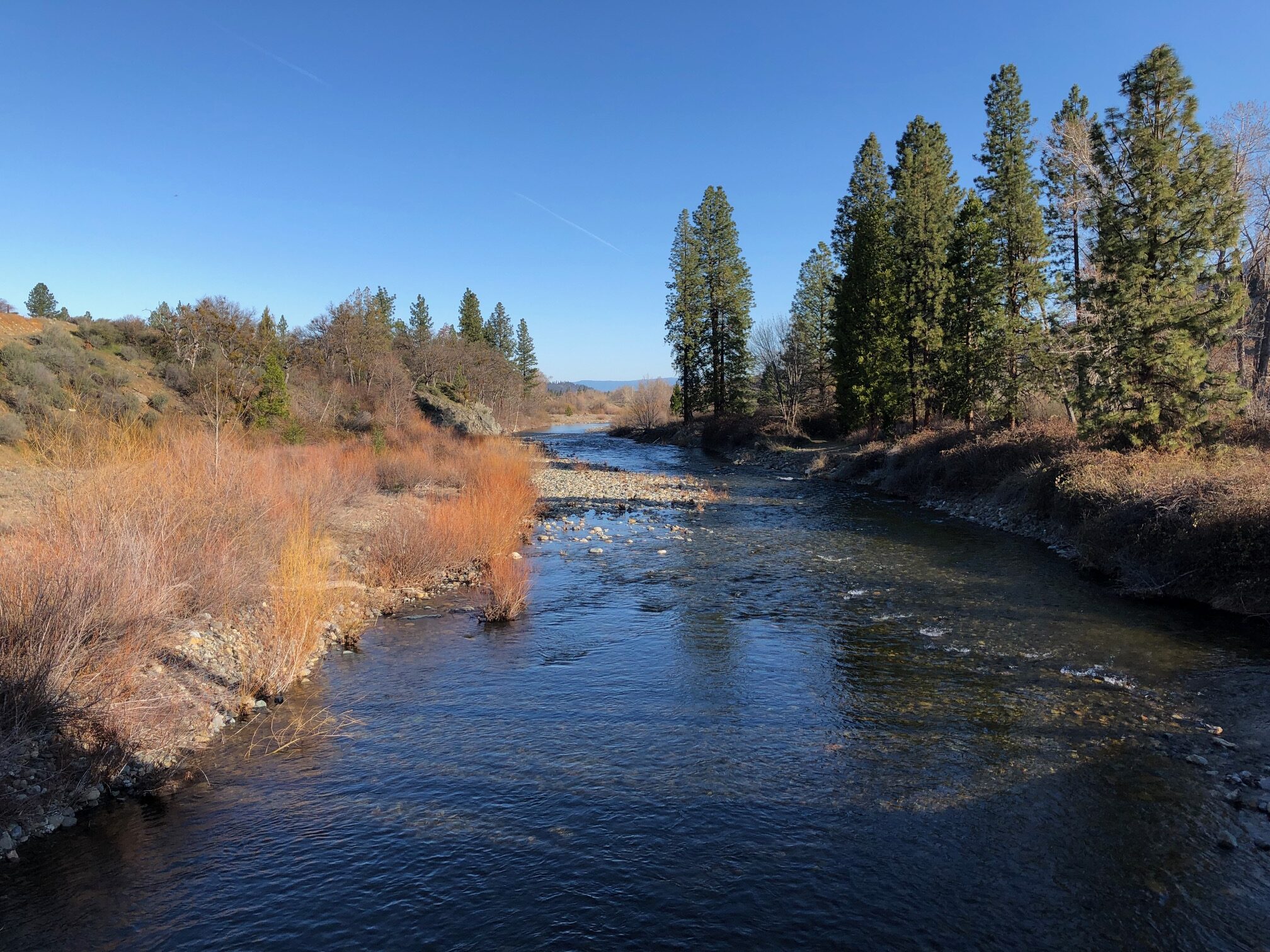 California Fisheries Blog | Science, Management, Issues, Problems, and ...