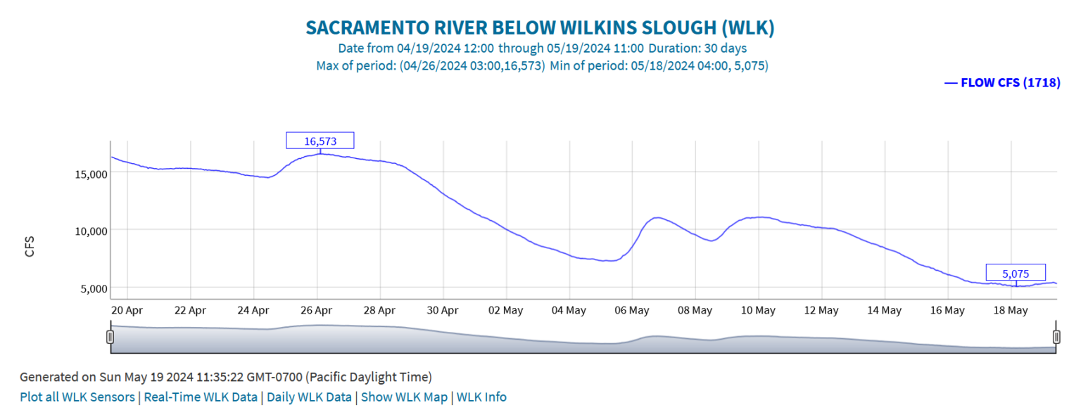 Sacramento River Spring Pulse Flows – 2024 | California Fisheries Blog