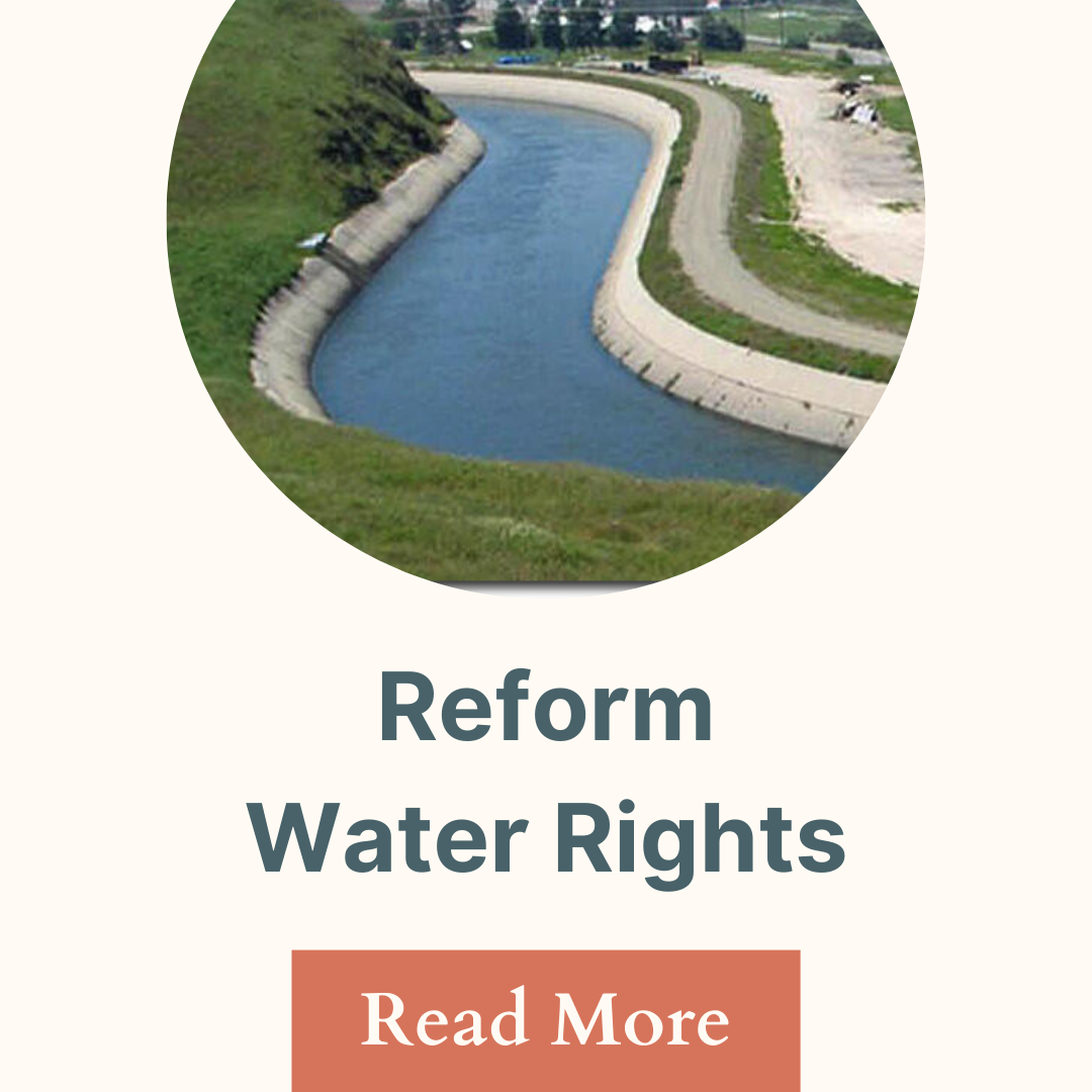 Balance the Water Budget – California Sportfishing Protection Alliance