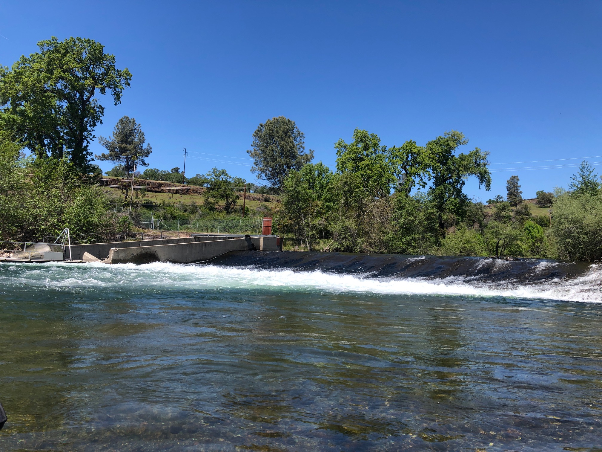 How fish ladders work – and why some do not – California Sportfishing ...