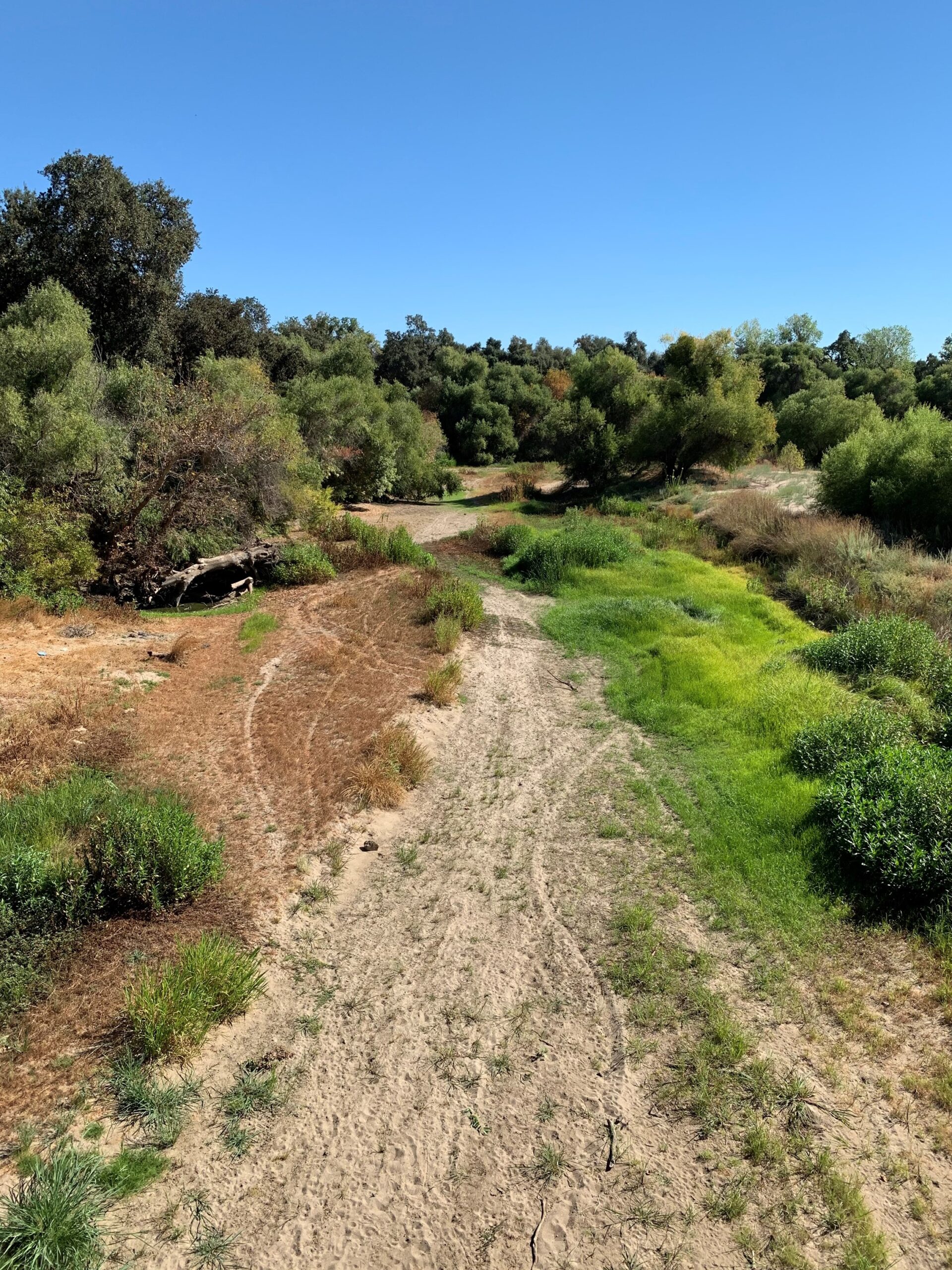 How A Lack of Regulatory Oversight Dried Up the Merced River – The ...