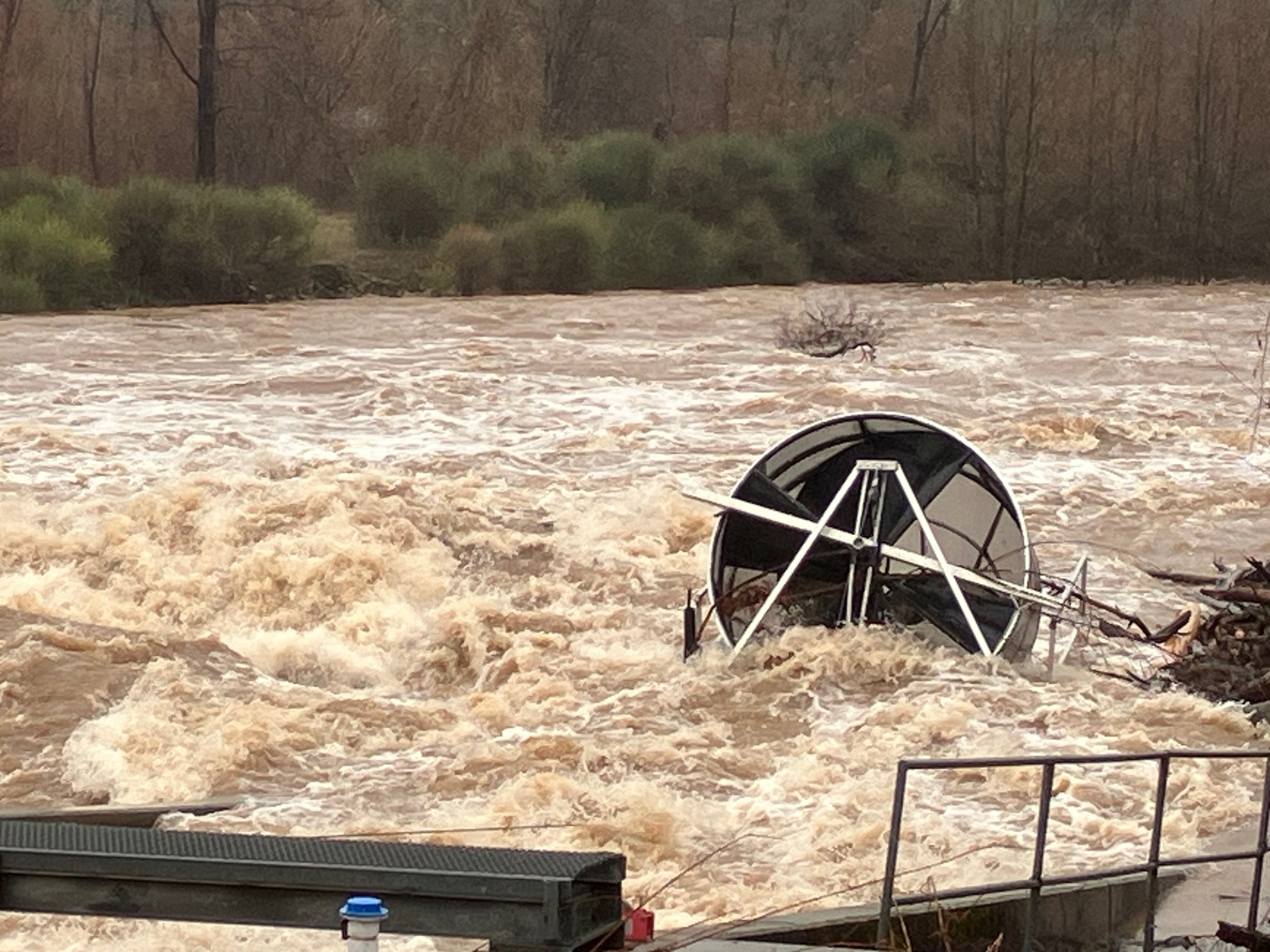 How fish ladders work – and why some do not – California Sportfishing ...
